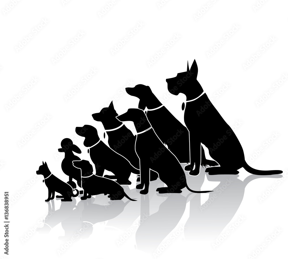 What Are The 10 Groups Of Dogs