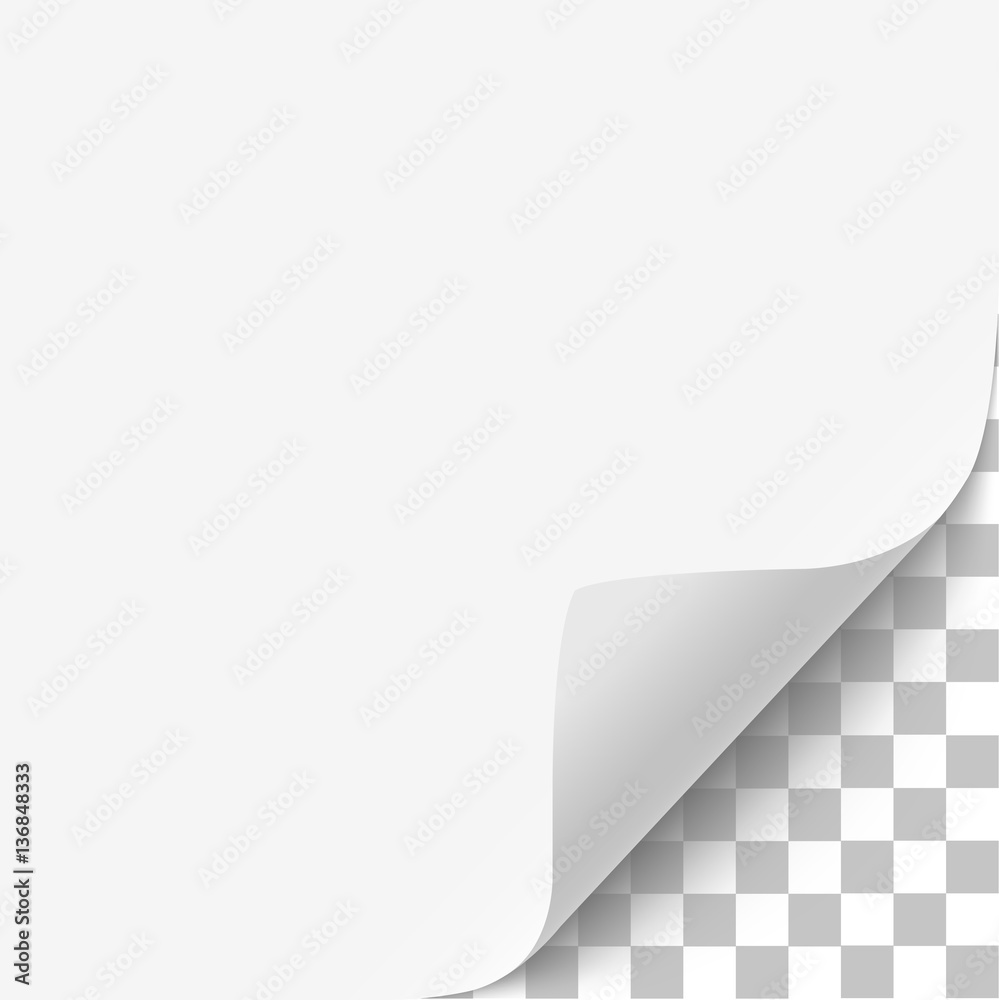 Curved corner of the page on isolation background. Ready for your use ...