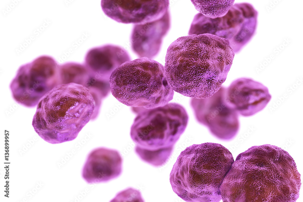 Bacteria Francisella tularensis isolated on white background, 3D ...