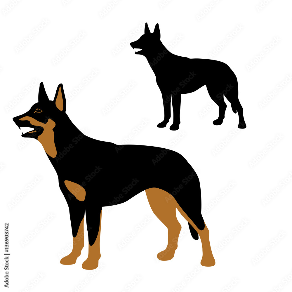 Kelpie Dog Outline