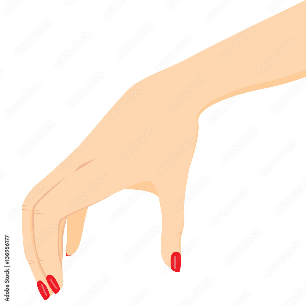 Close up illustration of beautiful female hand holding imaginary object ... Close up illustration of beautiful female hand holding imaginary object ...