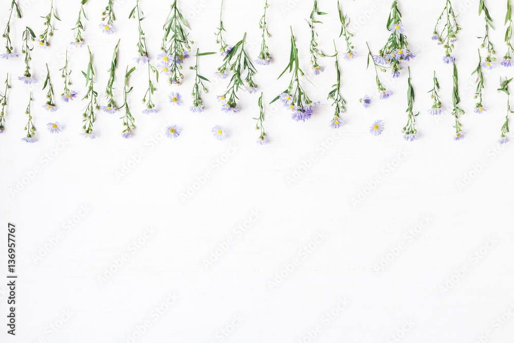 Flowers composition. Border with daisy flowers on white background ...
