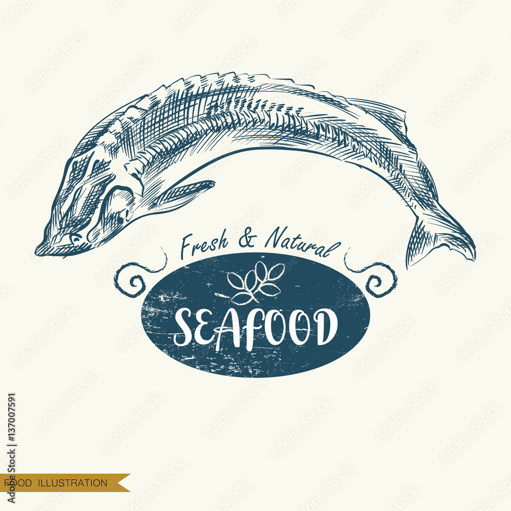Hand drawn fish isolated on white background. Seafood elements sketch ...