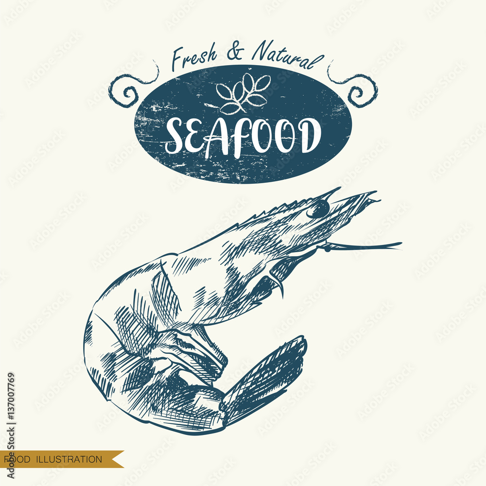 Hand drawn shrimp isolated on white background. Seafood elements sketch ...