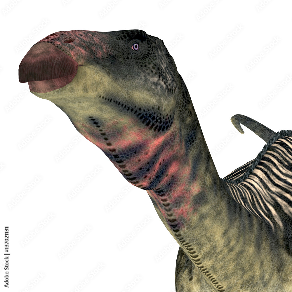 Lurdusaurus Dinosaur Head - Lurdusaurus was a herbivorous ornithopod ...