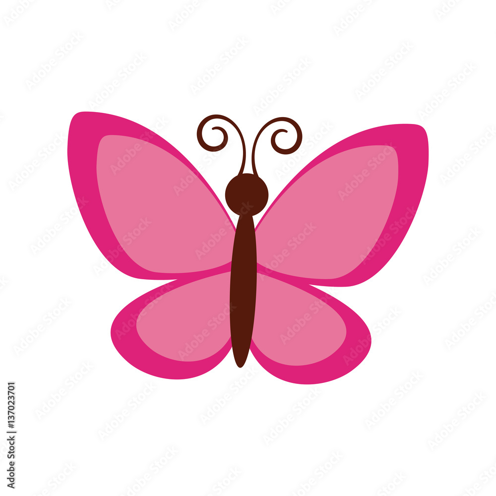 pink butterfly icon over white background. colorful design. vector ...