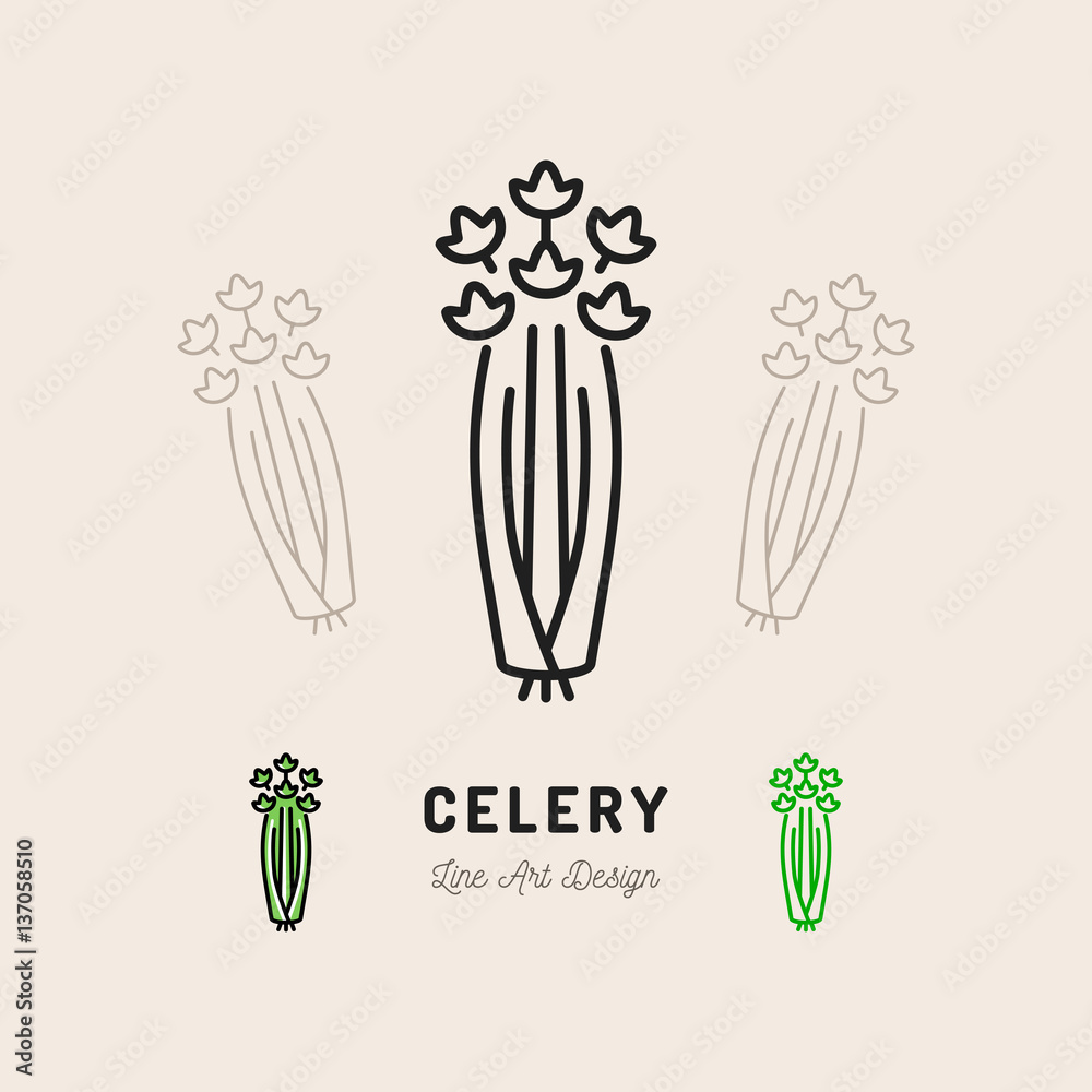 Vector Celery icon Vegetables logo. Thin line art design, outline ...