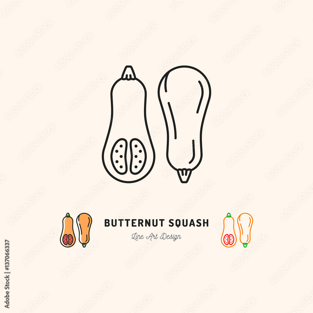 Butternut Squash icon Vegetables logo. Thin line art design, Vector ...