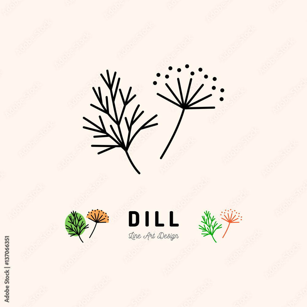 Dill icon Vegetables logo, Dill flower and Fennel, Spice. Thin line art ...