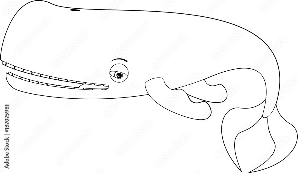 Cute Cartoon Whale Line Drawing Stock Vector | Adobe Stock