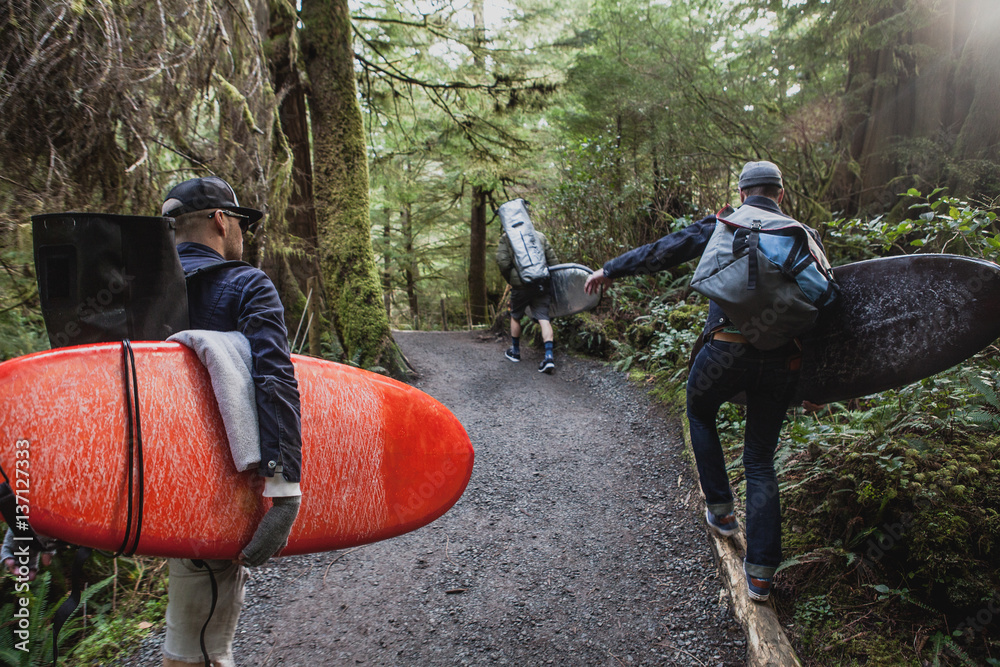 Small group of men carrying surf boards on woodland pathway Stock Photo ...