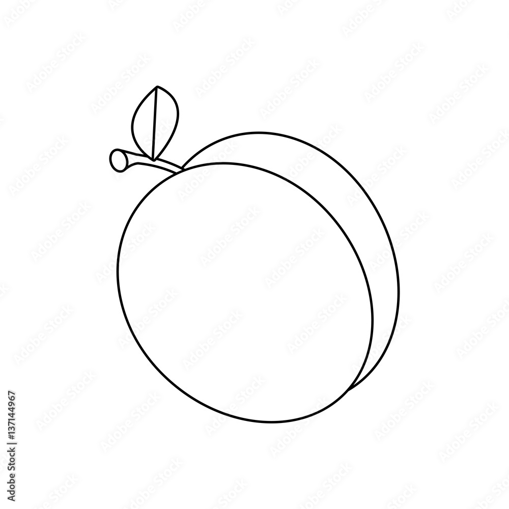Line drawing fruit Stock Vector | Adobe Stock