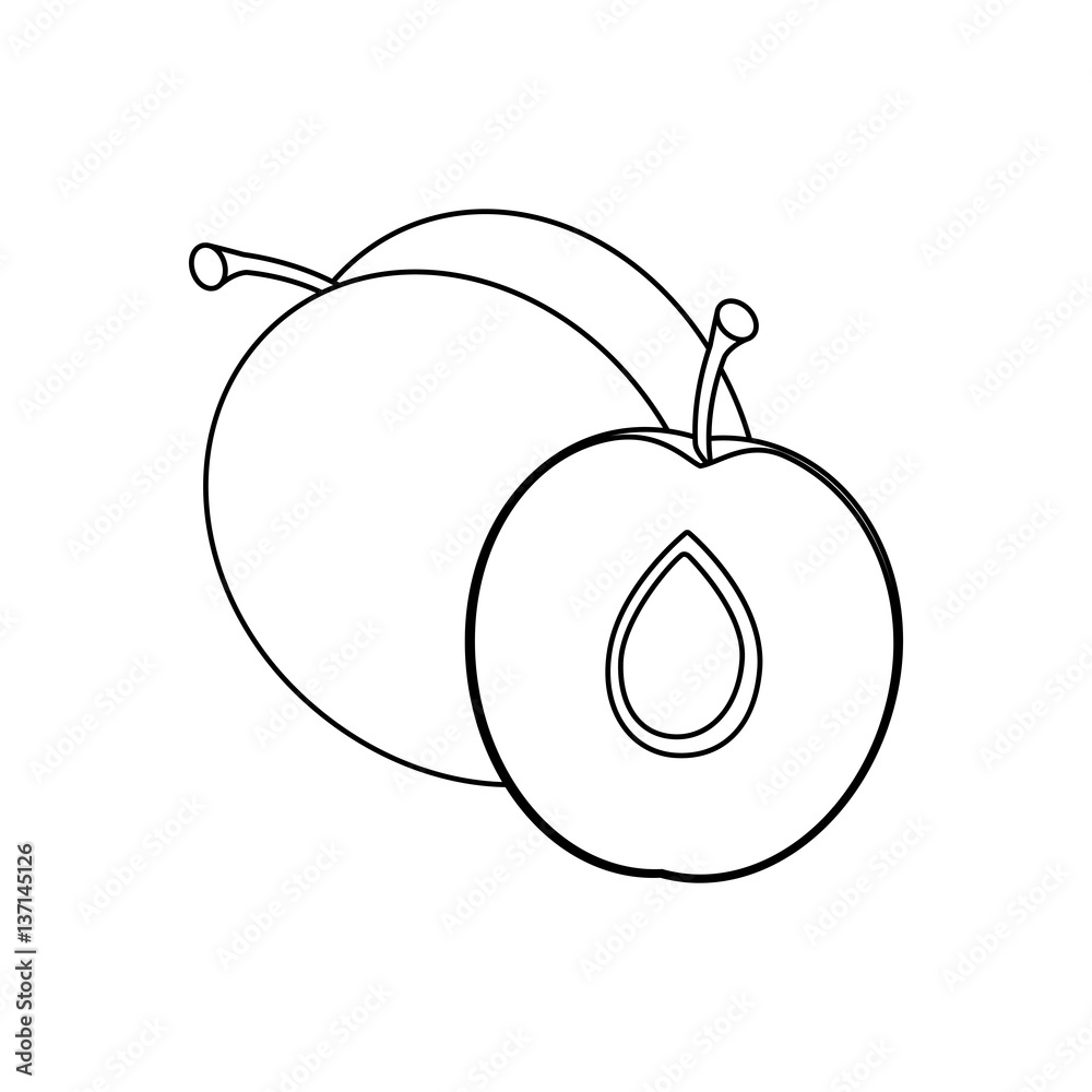 Line drawing fruit Stock Vector | Adobe Stock