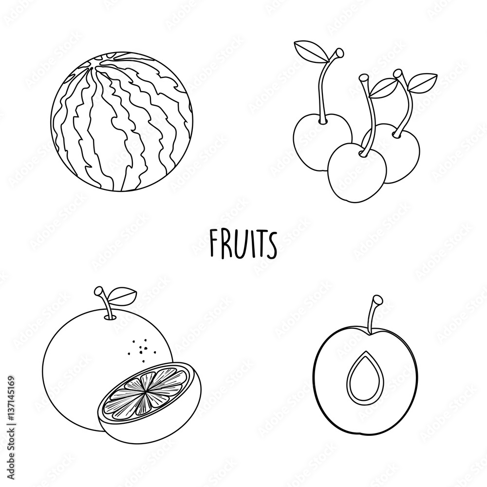 Line drawing fruits Stock Vector | Adobe Stock