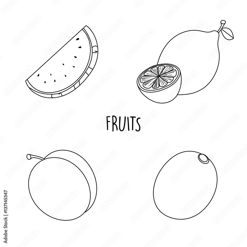 Line drawing fruits Stock Vector | Adobe Stock