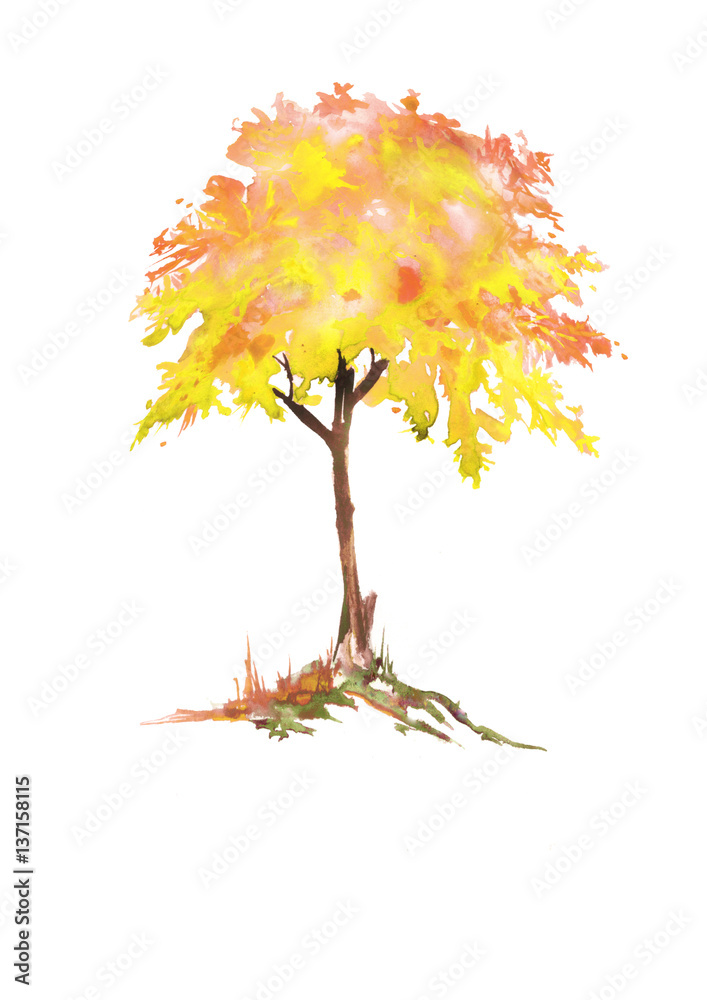 Yellow, orange tree watercolor isolated on a white background. Vintage ...