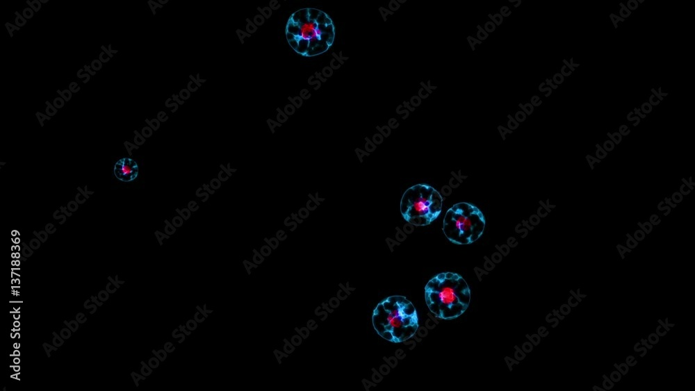 Stem cells dividing into more daughter cells under microscope, phases ...