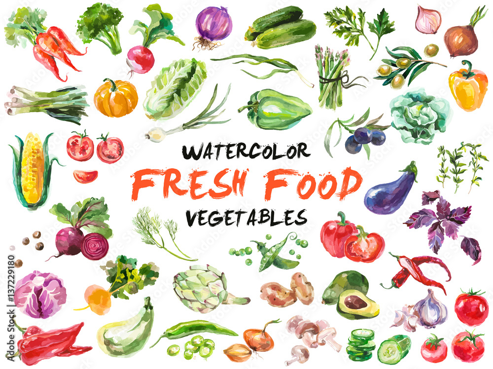 Watercolor vegetables isolated on white Stock Vector | Adobe Stock