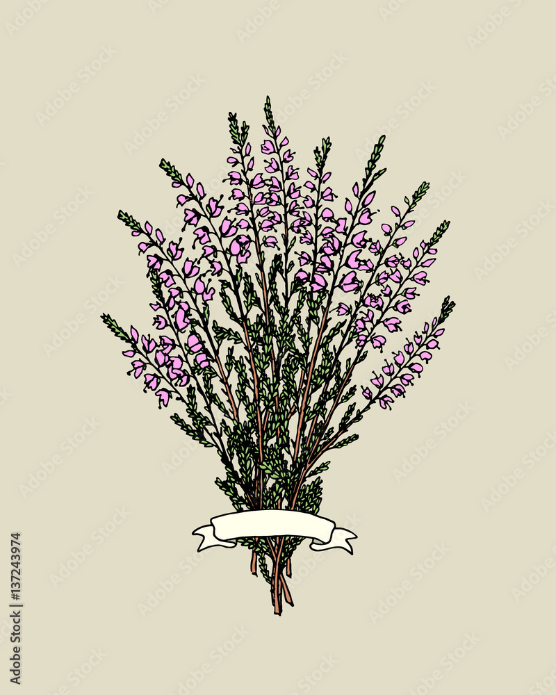 Heather emblem template Stock Vector | Adobe Stock