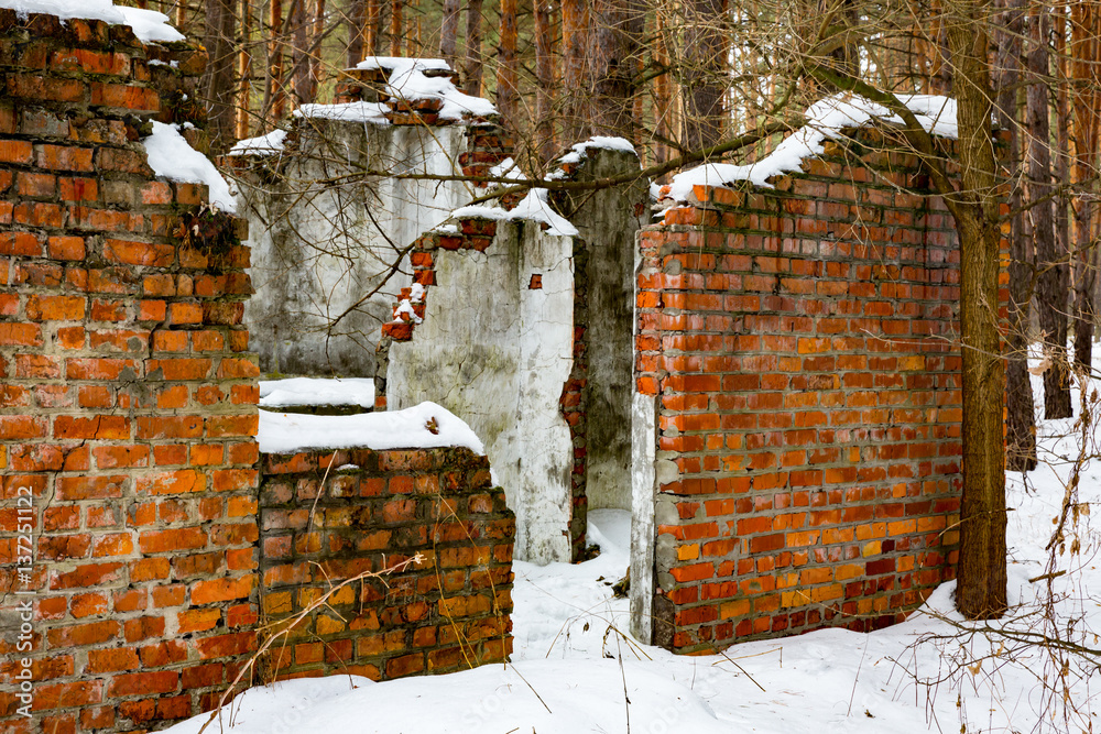 ruin in winter forest Stock Photo | Adobe Stock