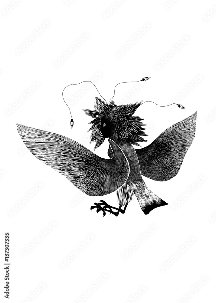 Mythological animal bird female Gamayun on white background, black ...