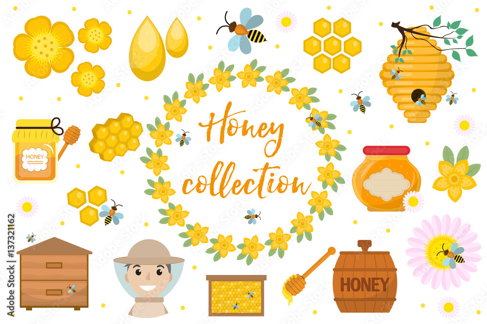 Honey collection. Beekeeping set of objects isolated on white ...