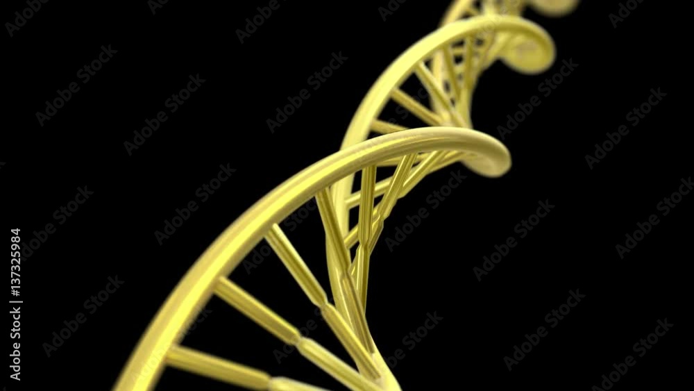 Vidéo Stock DNA spinning RNA double helix slow science electron ...