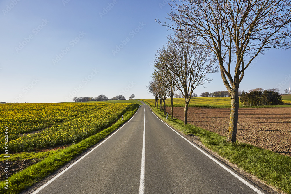 Weite Straße zwischen Feldern Stock-Foto | Adobe Stock