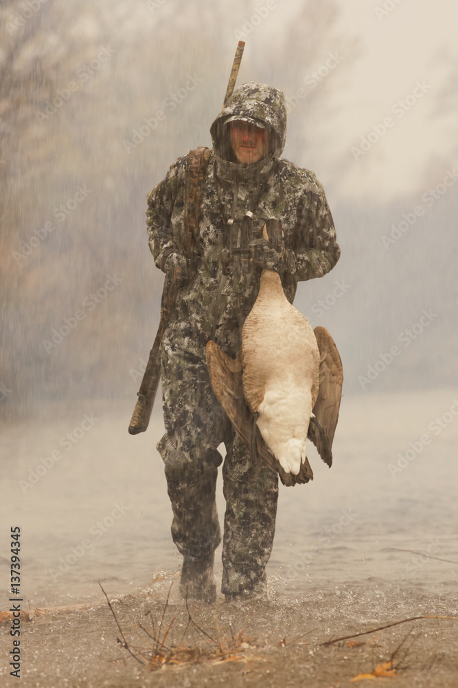 Goose Hunter In Rain Carrying Dead Goose Stock Photo | Adobe Stock