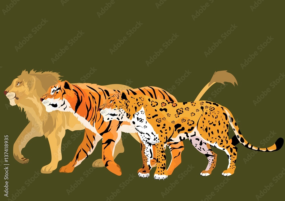 Jaguar Vs Tiger Fight