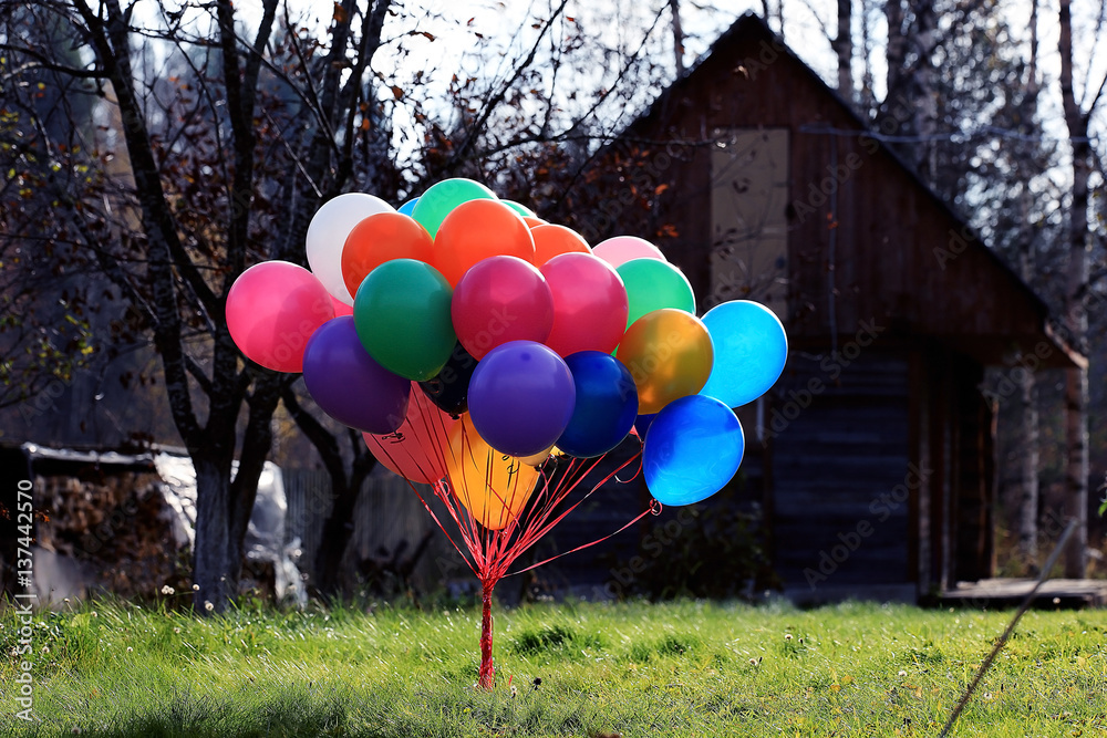 many colorful balloons nature landscape Stock-Foto | Adobe Stock