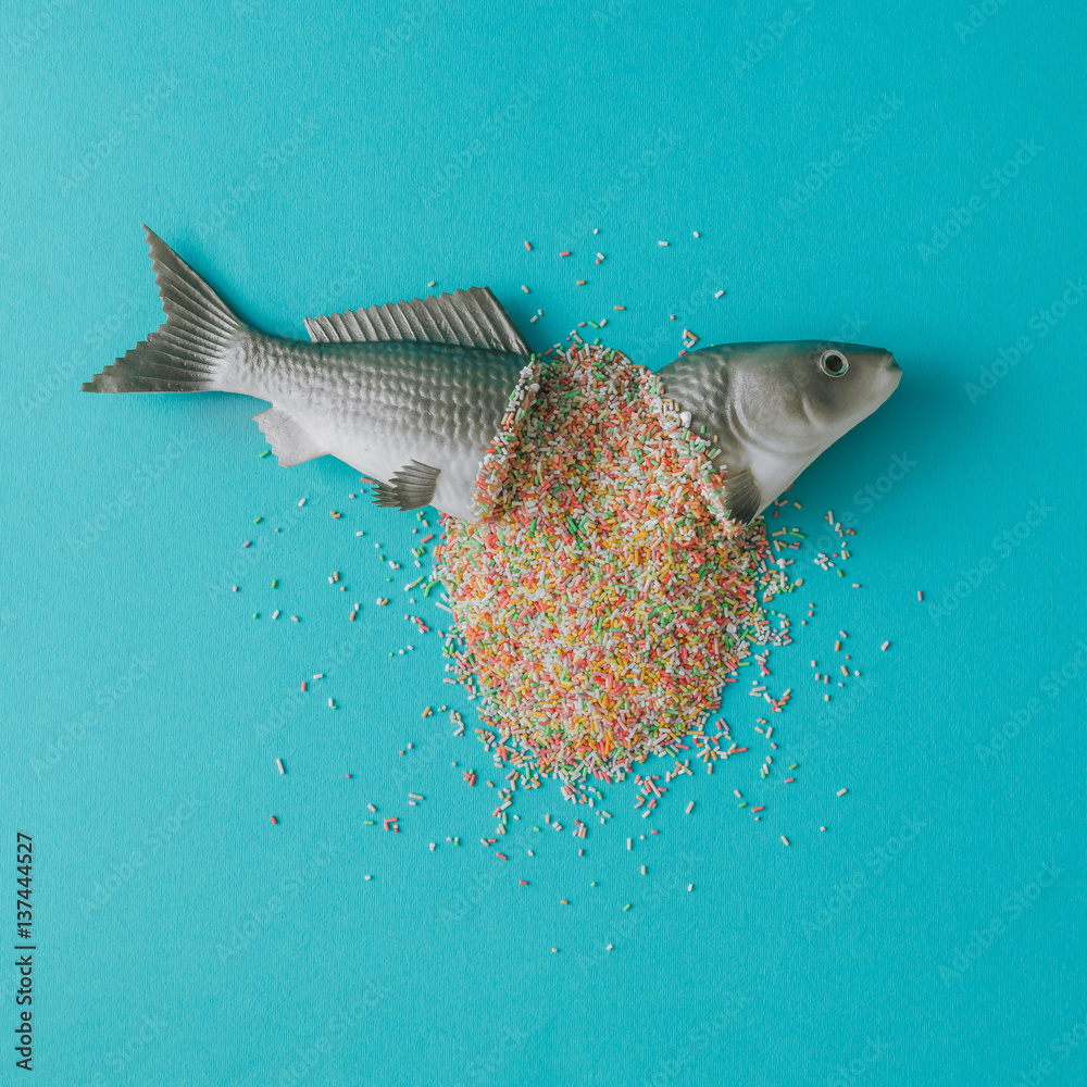 Fish cut in half with colorful sprinkles. Minimal food concept. Flat ...