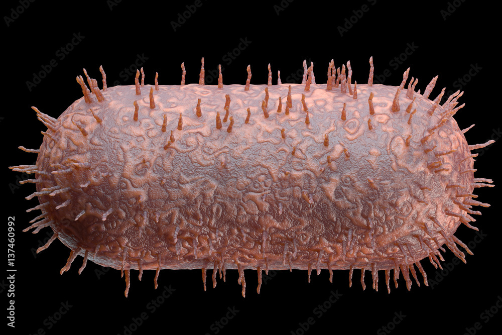 3d render bacteria or microbe in cross section. Microorganism ...
