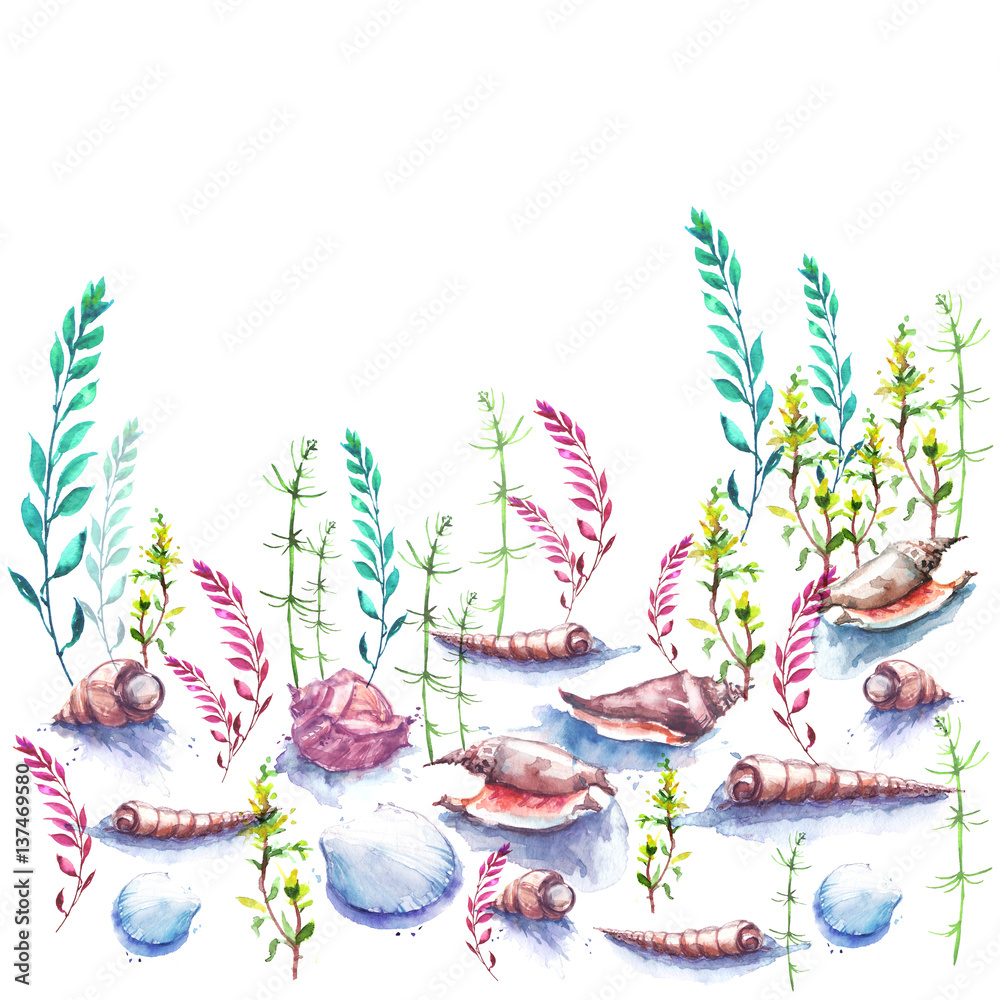 Vintage Watercolor drawing. The seabed, ocean, sea. Illustration with ...