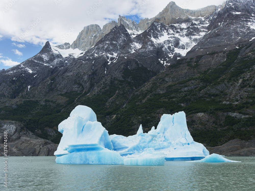 Grey Lake and Grey Glacier, Torres del Paine National Park; Torres del ...