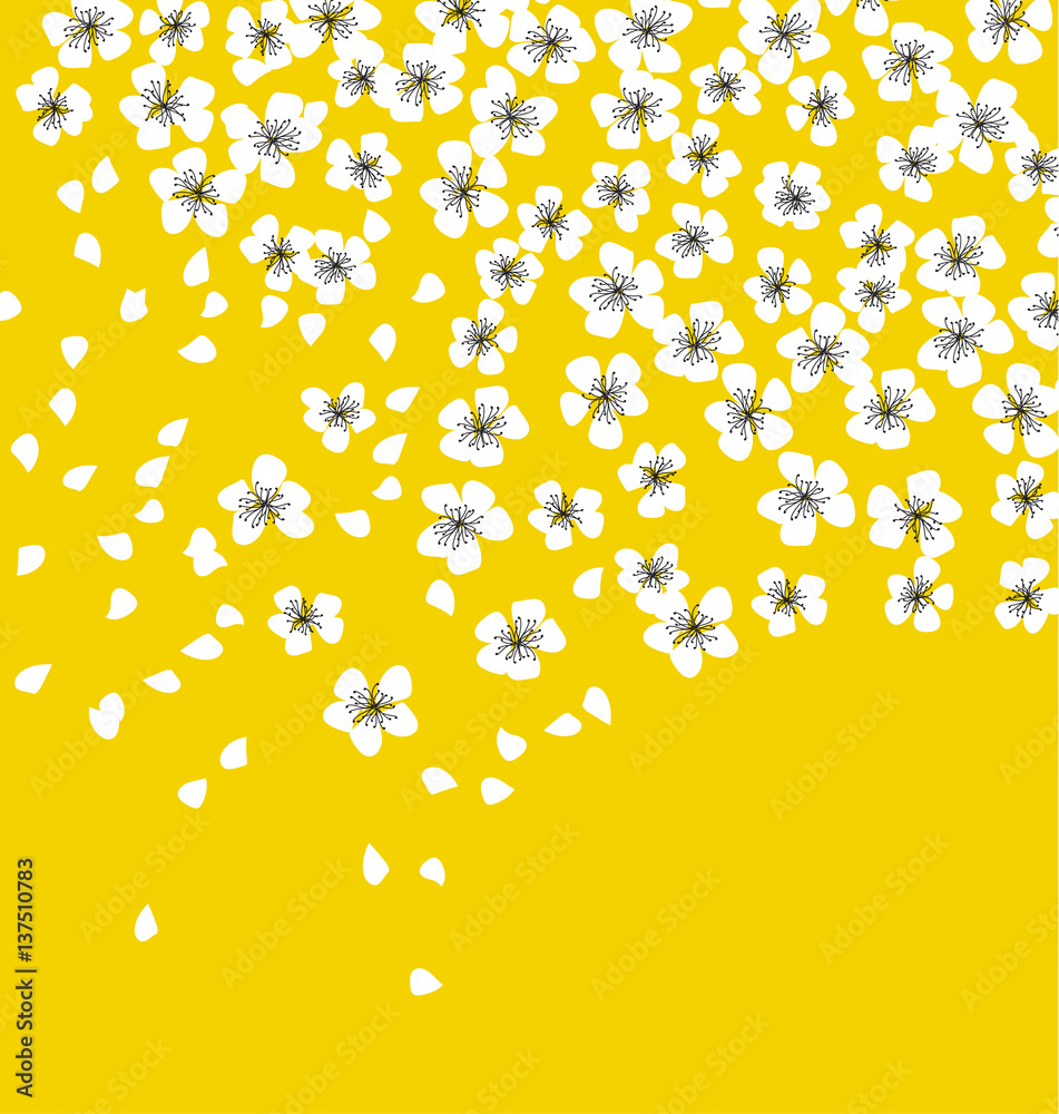 white sakura blossom on sunny yellow background. elegant naive spring ...