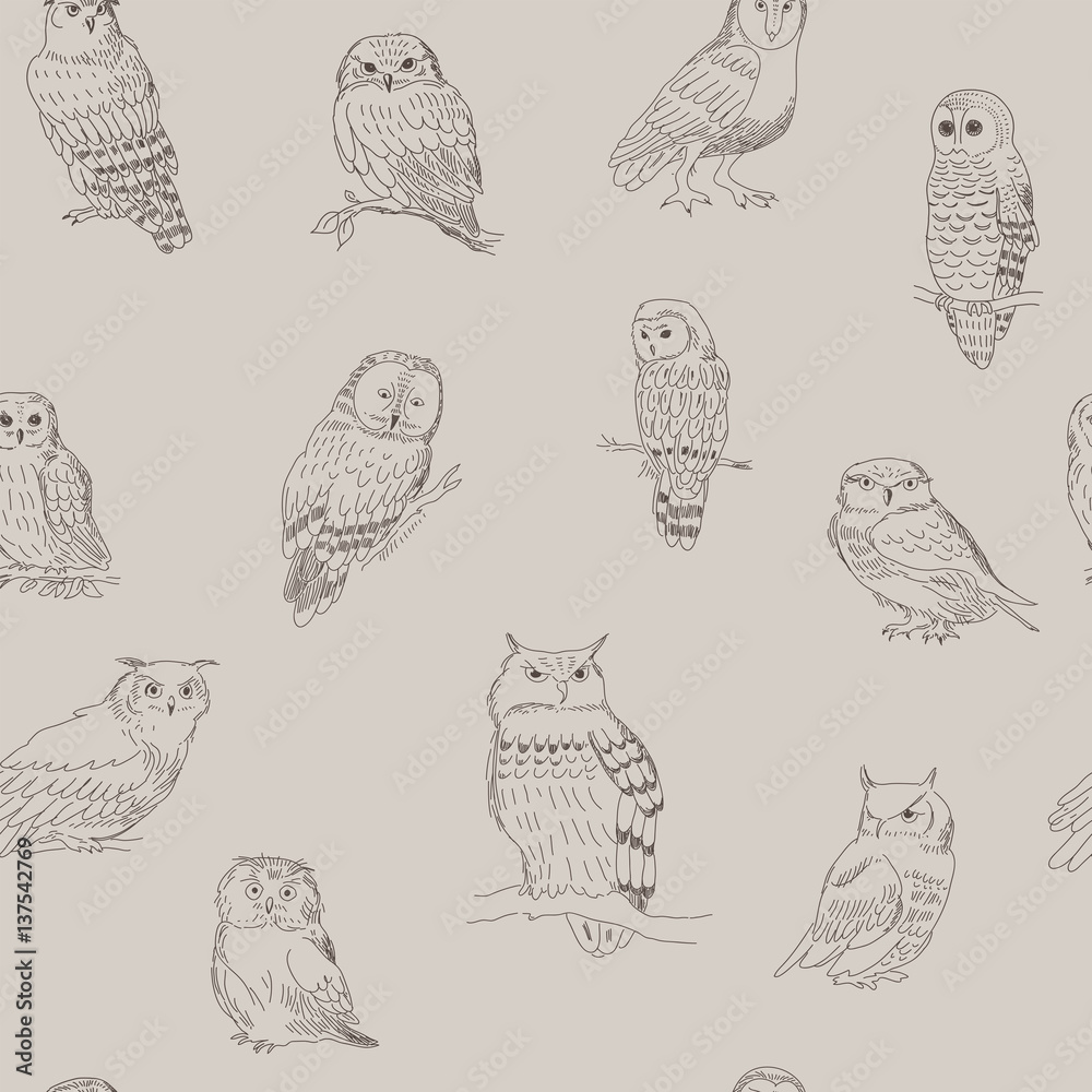 Stylish seamless pattern of cartoon owls strokes Stock Vector | Adobe Stock