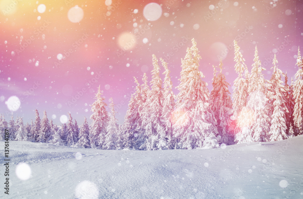 magical winter landscape, background with some soft highlights a Stock ...