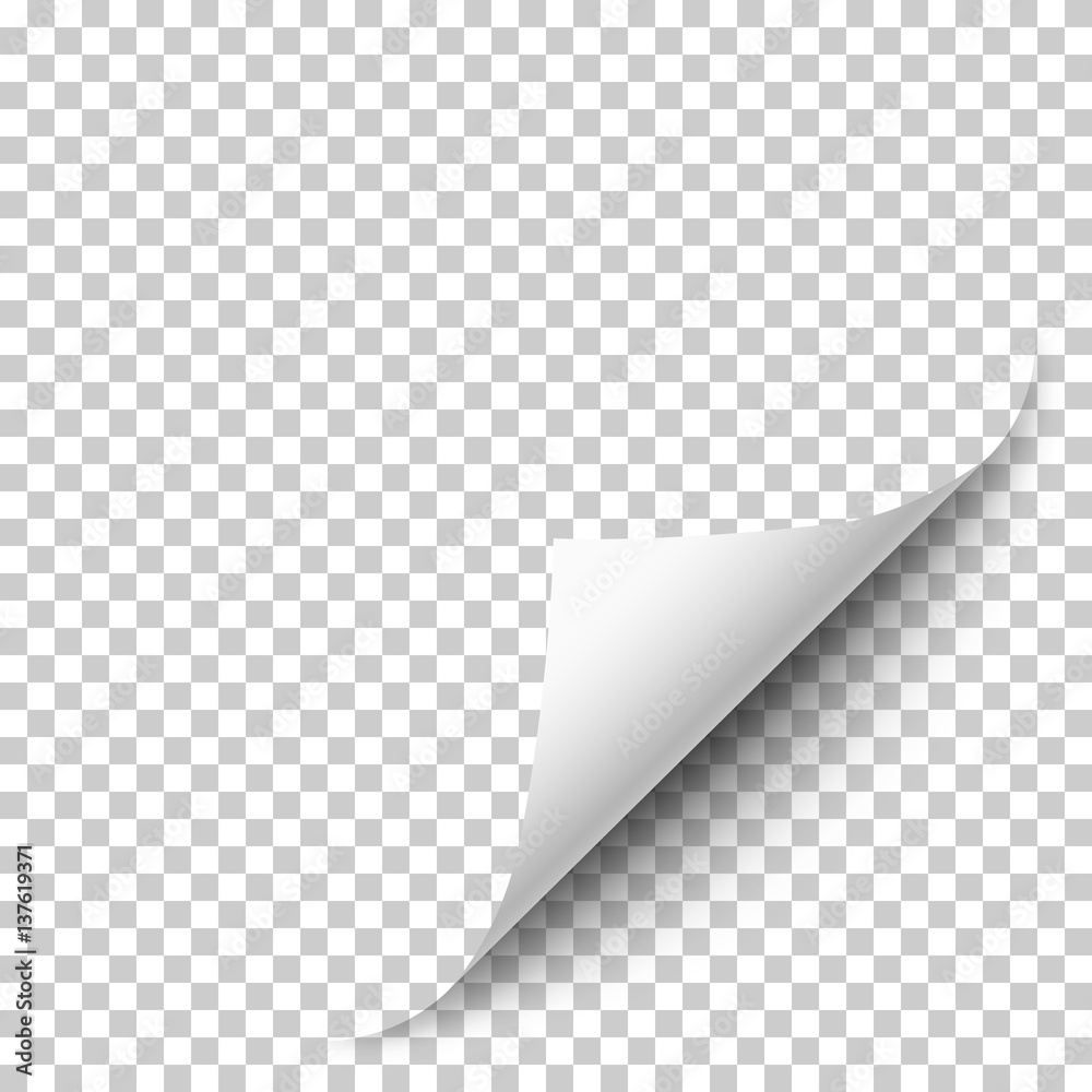 Vector realistic white paper corner with shadow on transparent ...
