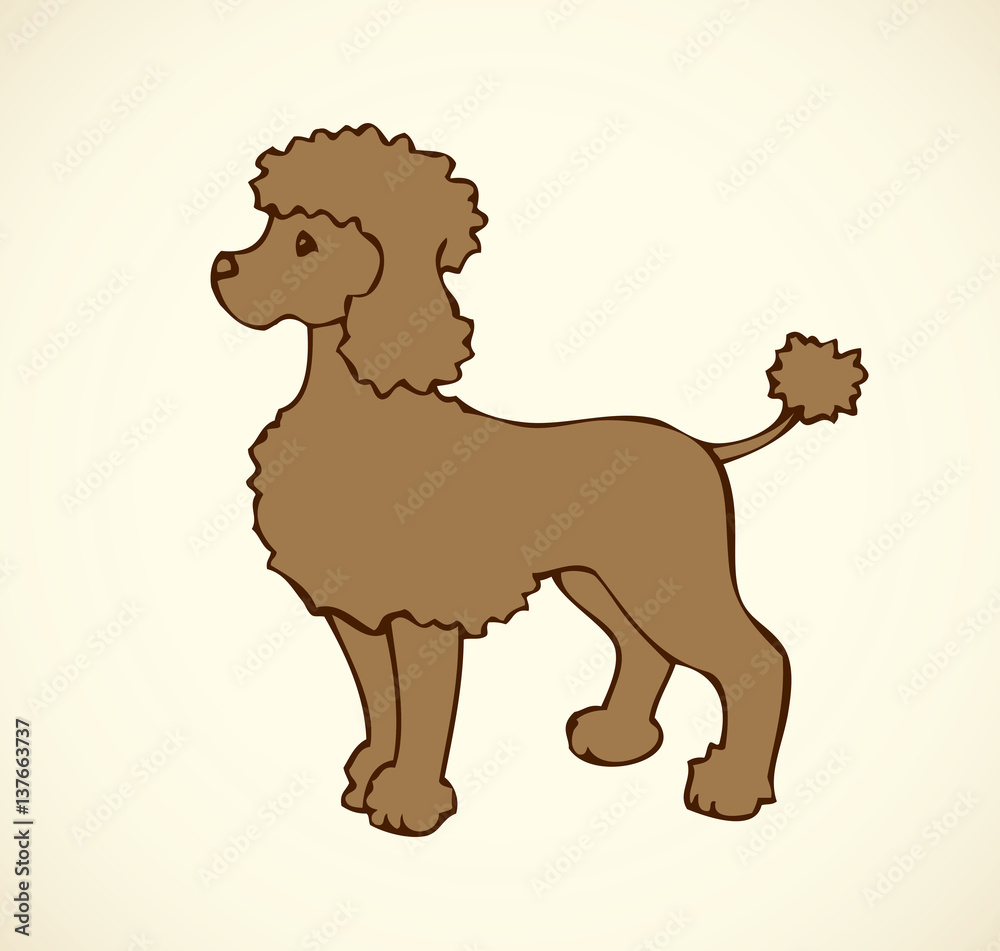 Vector outline drawing. Purebred dogs and mongrels Stock Vector | Adobe ...