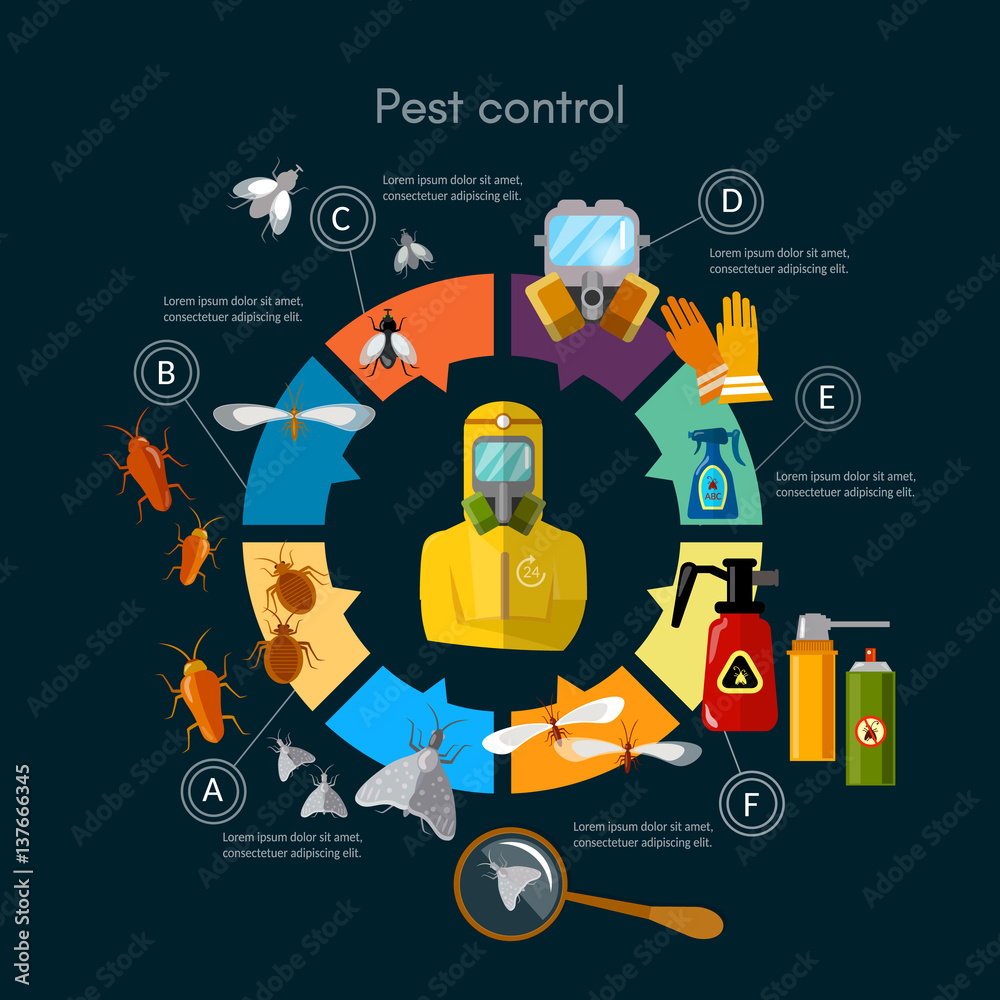 Pest control service infographic insects exterminator vector de Stock ...