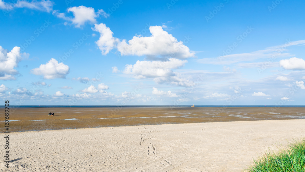 Sandstrand im Weltnaturerbe, Wattenmeer, Norddeutschland Stock Photo ...