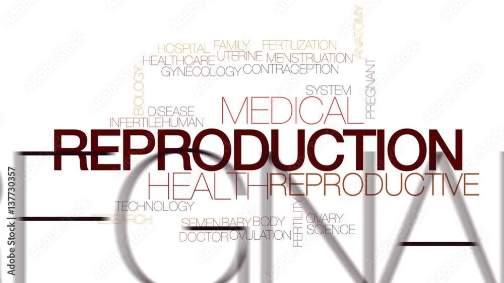 Reproduction animated word cloud, text design animation. Kinetic ...