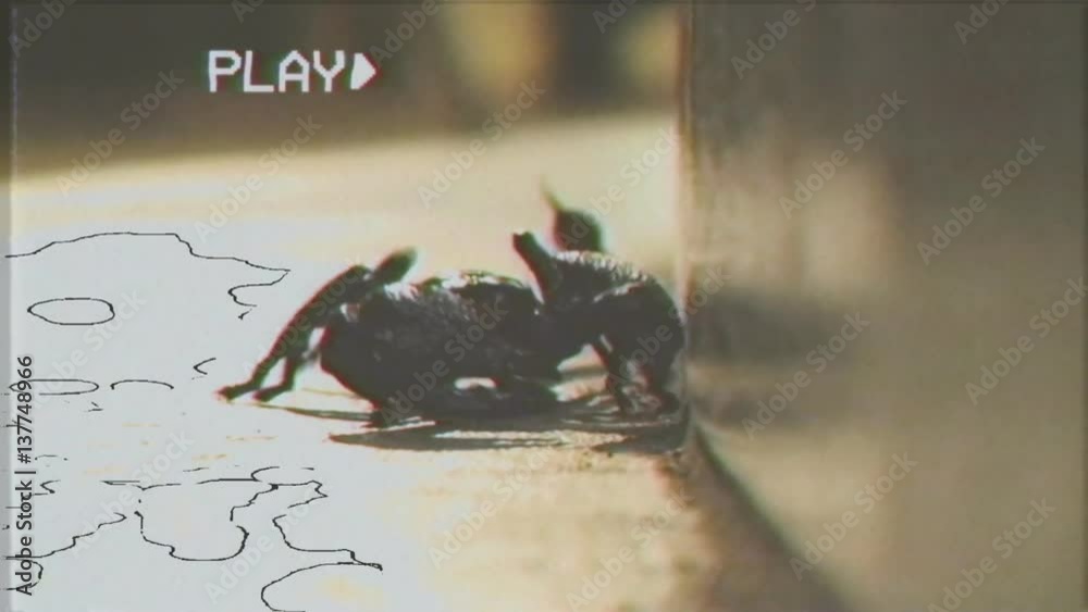 Fake VHS shot: a flickering montage of scary Halloween horror clips; a ...