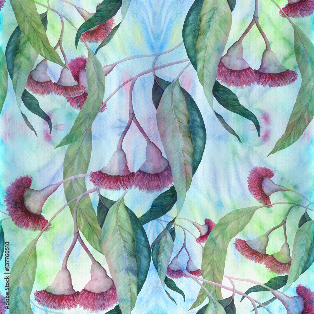 Seamless pattern. Eucalyptus - flowers and leaves, medicinal, perfumery ...