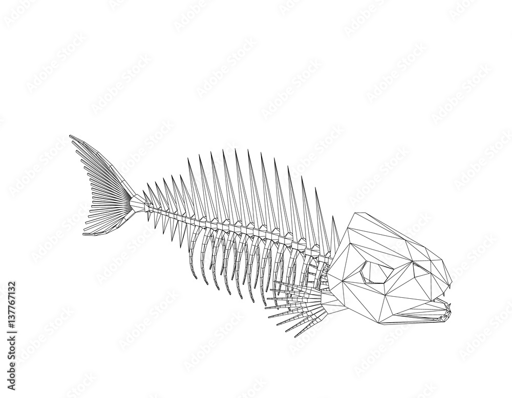 Polygonal Fish skeleton. Isolated on white background. Vector outline ...