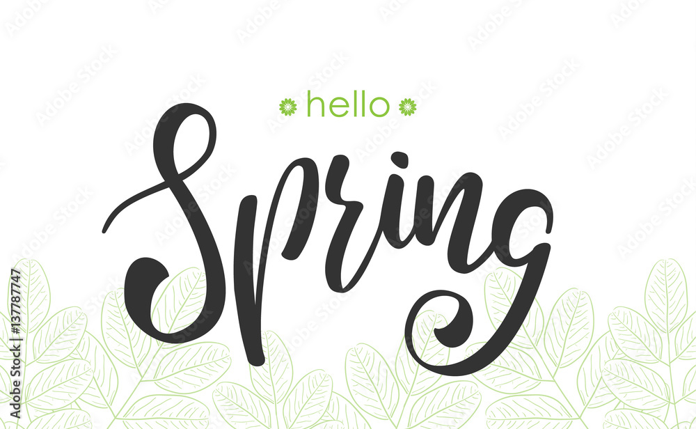 Vector illustration: Hand lettering of Hello Spring on leaves sketch ...