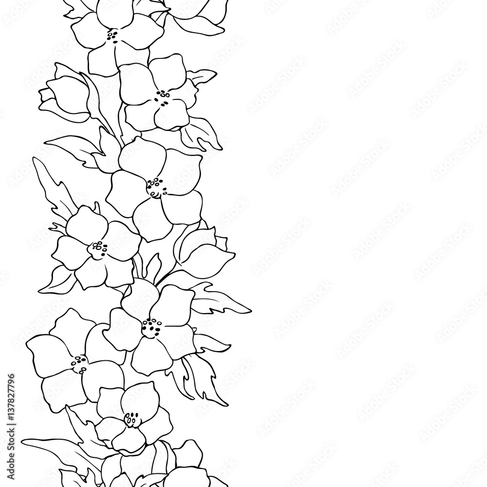vector black white contour sketch of wild flowers strip Stock Vector ...