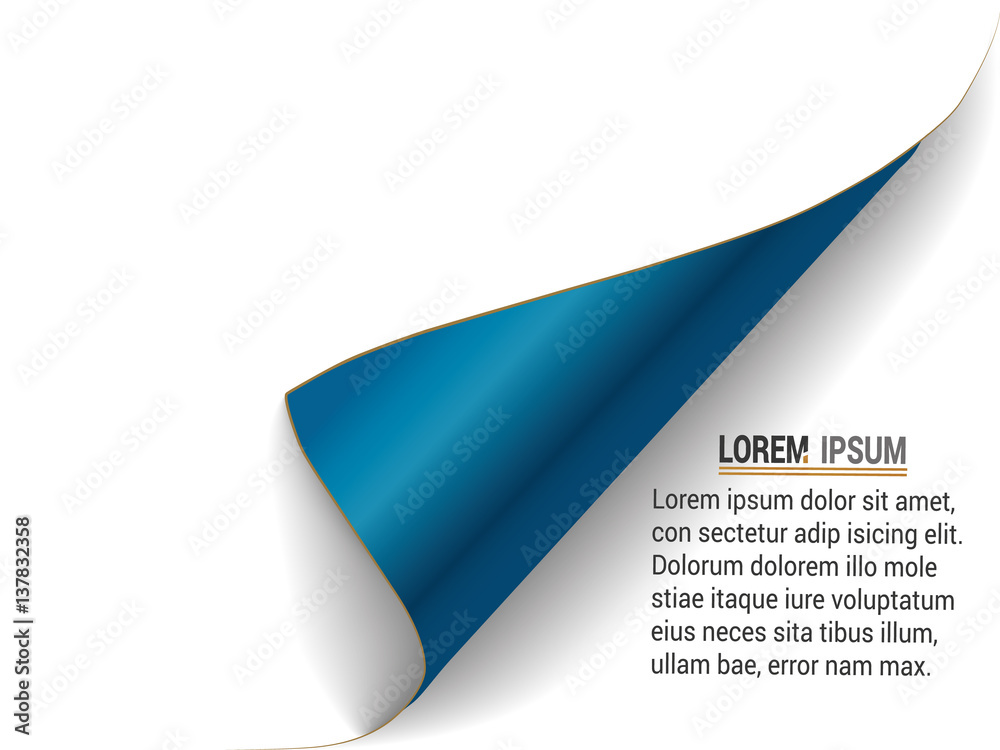 sheet of curled paper Stock Vector | Adobe Stock