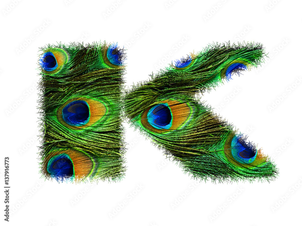 High resolution upper case letter K made of peacock feathers alphabet ...